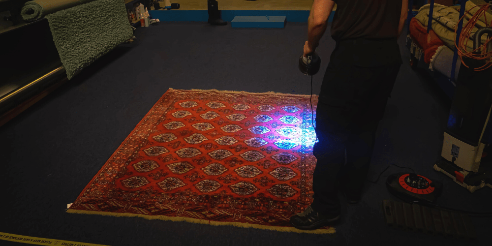 How To Remove Rug Stains And Spills | UK's Rug Cleaning Specialists